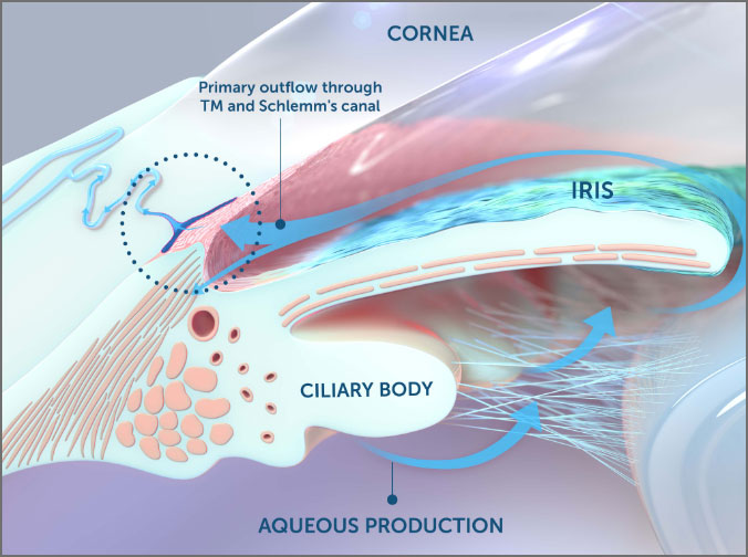 IOP Regulation Ocular Nitric Oxide Explore Glaucoma Horizons IOP Regulation Ocular Nitric Oxide Explore Glaucoma Horizons